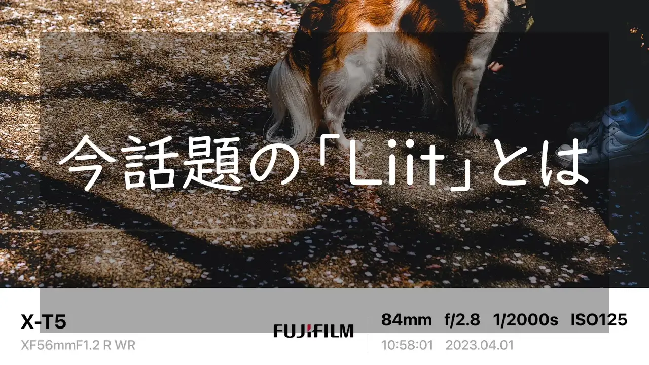 写真をお洒落に見せる「Liit」の使い方 カメラや設定値、ロゴを入れる今話題のアプリについて | CameRife